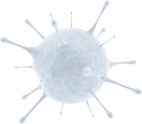 Global Catalogue of Microorganisms,Global Catalogue